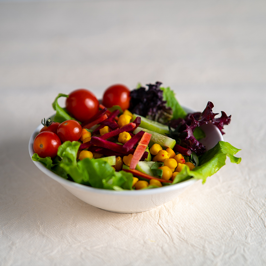 Mini Salad (without protein) – Jeevansatva